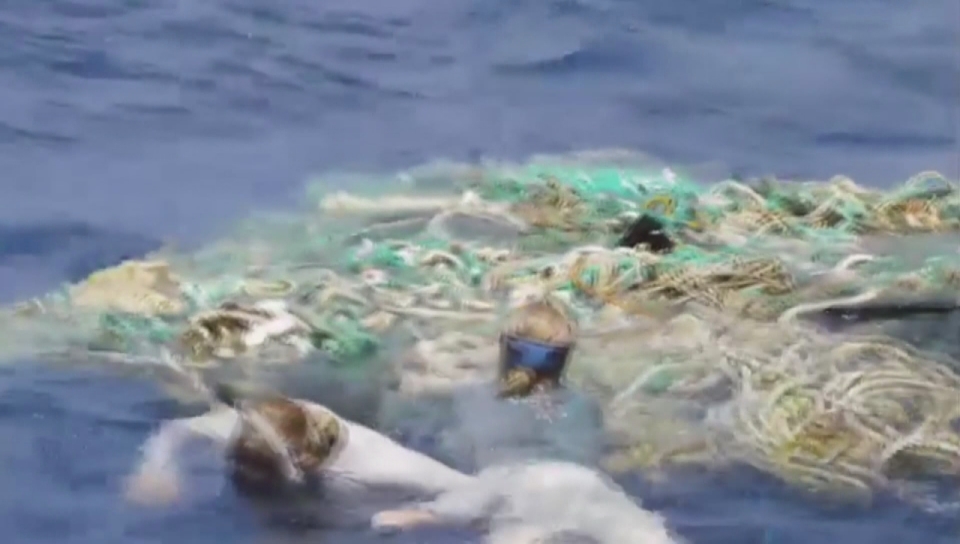 Pacific Garbage Patch Google Earth