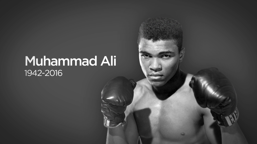 Boxer Fighter Ali