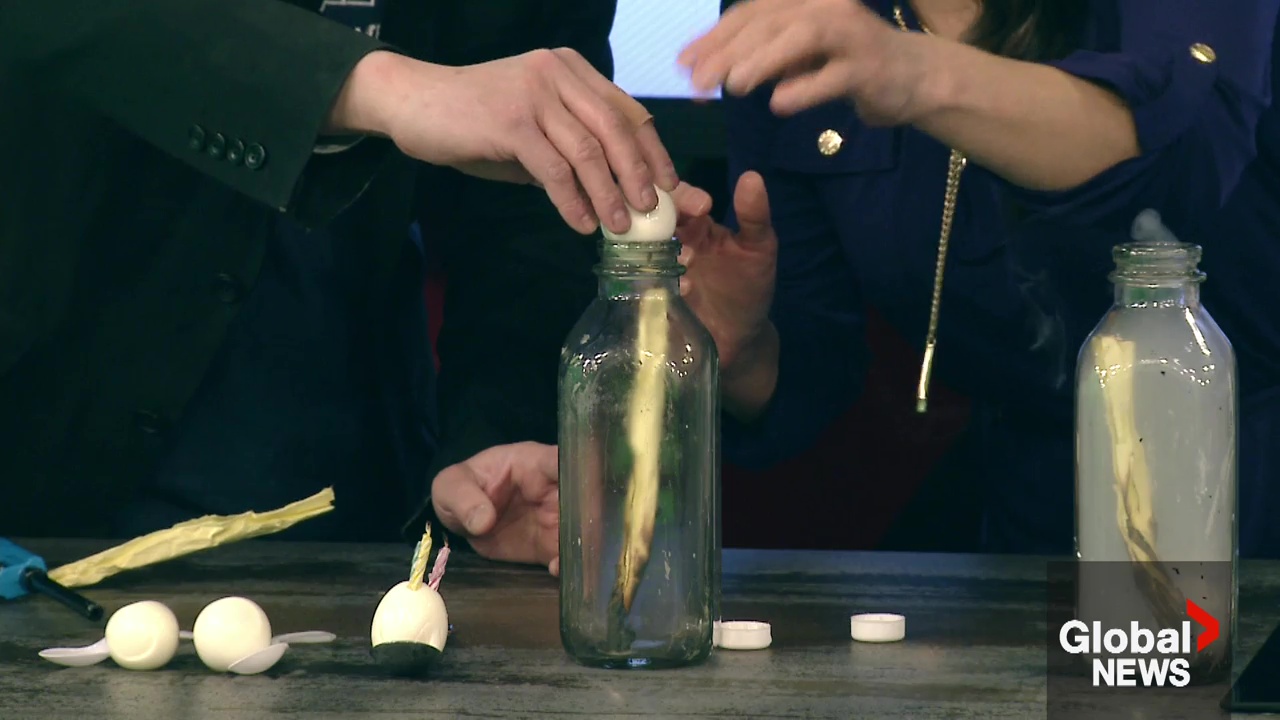 Science Experiment Egg Bottle