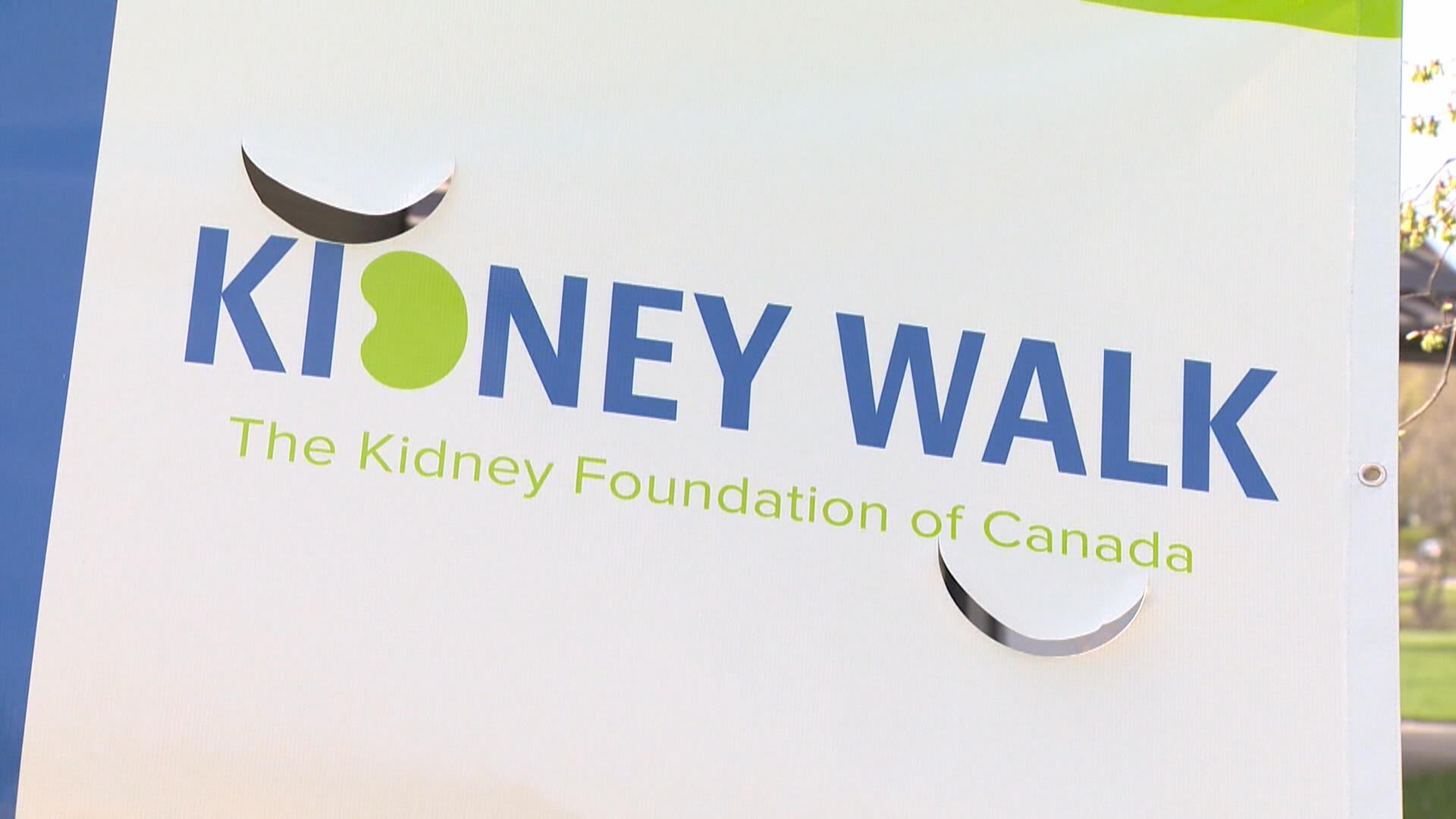 Kidney Foundation Of Canada Logo Kidney Foundation (@kidneycanada) / X