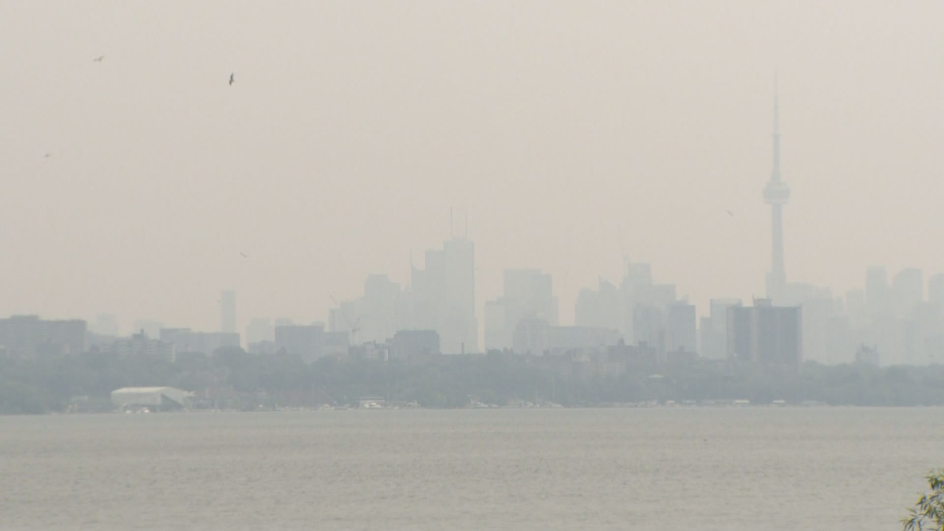 Forest Fire Smoke Toronto