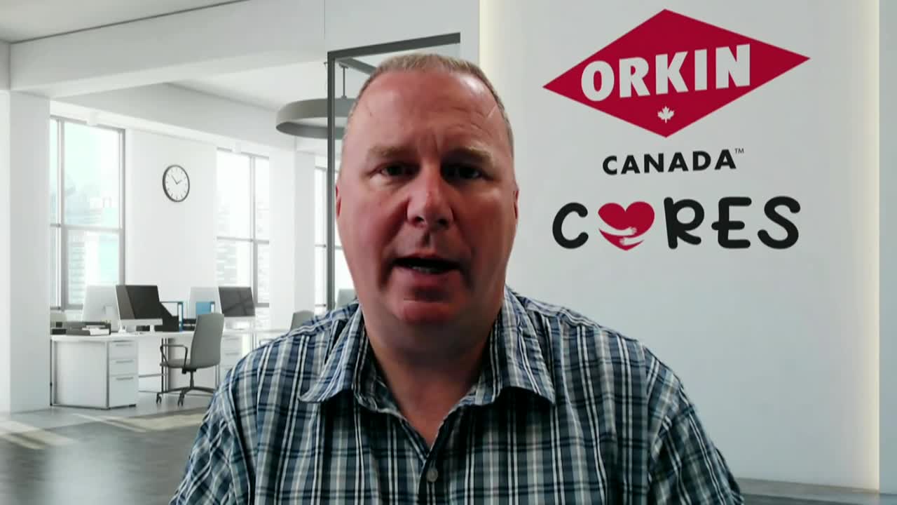 Orkin Logo Orkin Wikipedia